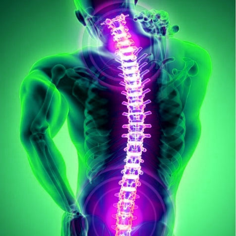 Patologías de Columna – Dr. Santiago Erice